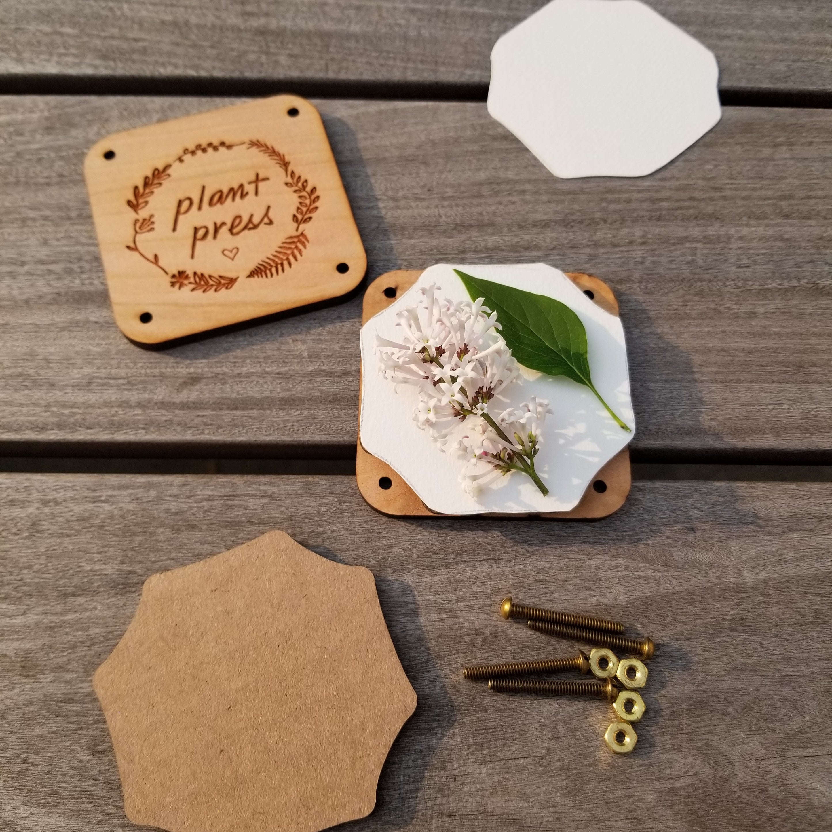 Plant Press Kit – Katrinkles - retail